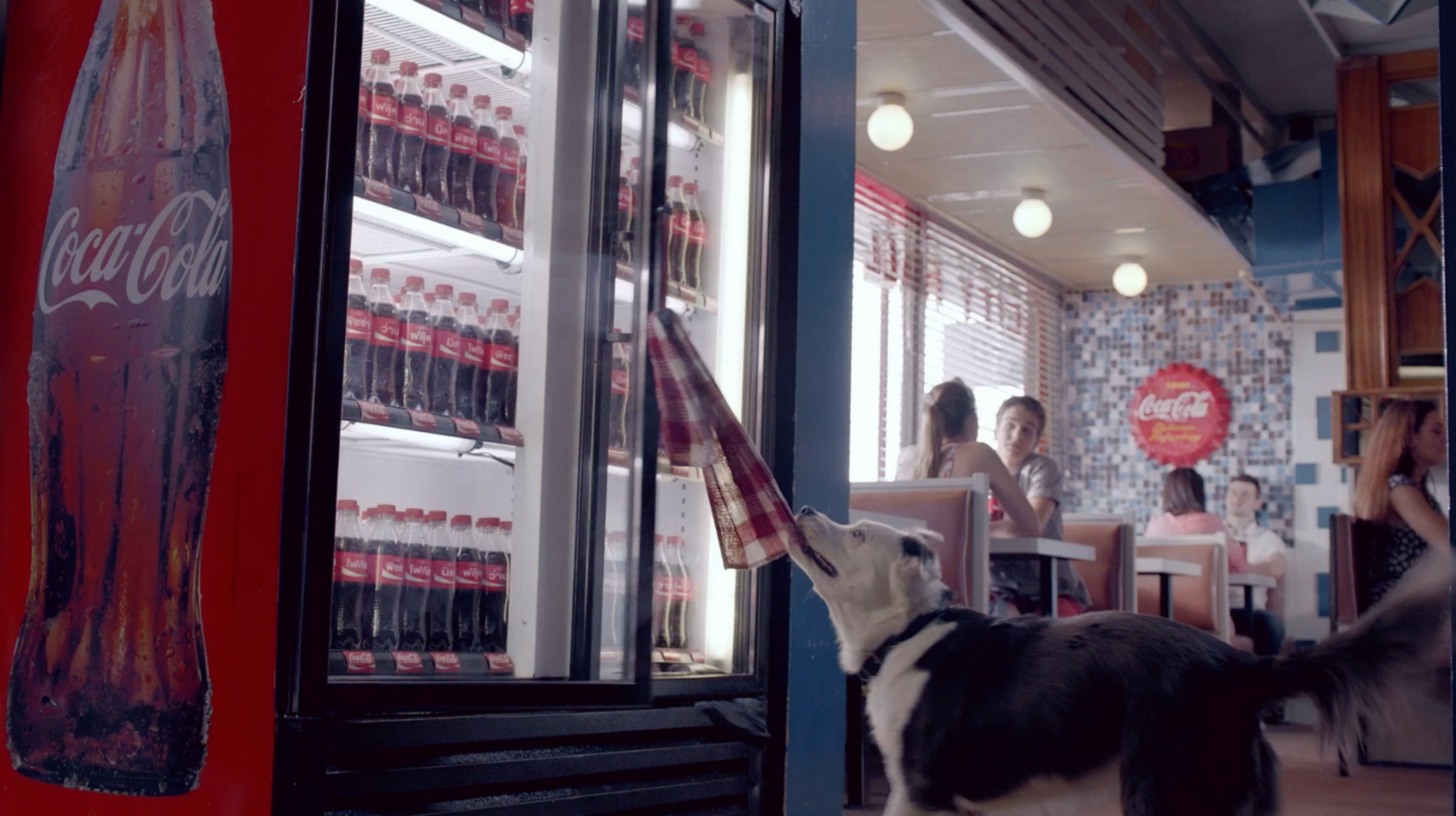 Directors | Phenomena